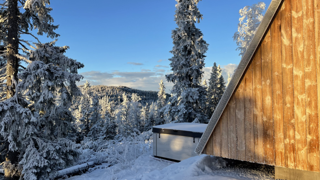Villa A-frame – Scandinavian Hospitality